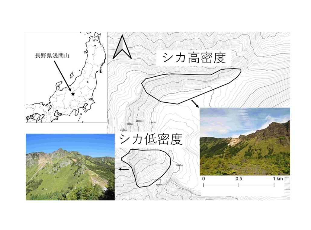 在来種群集での種間競争を証... - EDUONE Pass