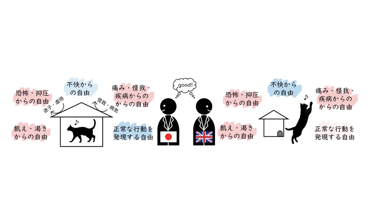 動物福祉に対する態度を日英... - EDUONE Pass